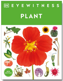 Eyewitness Plant – The Children's Treehouse