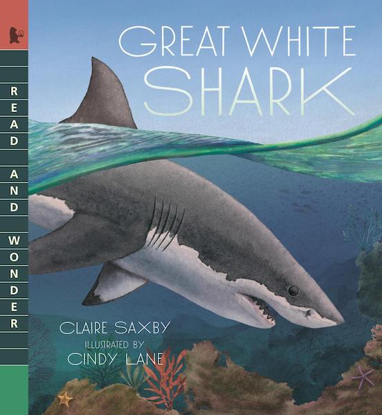Great White Shark – The Children's Treehouse
