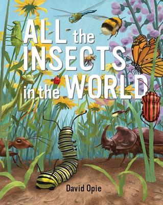 All the Insects in the World – The Children's Treehouse