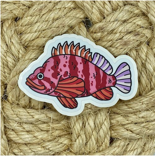 Vinyl Sticker - Tiger Rockfish - 4.0" – The Children's Treehouse