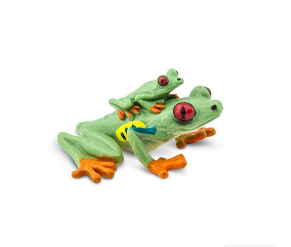 Red - Eyed Tree Frog – The Children's Treehouse