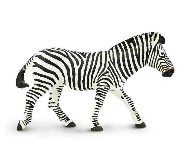 Zebra – The Children's Treehouse
