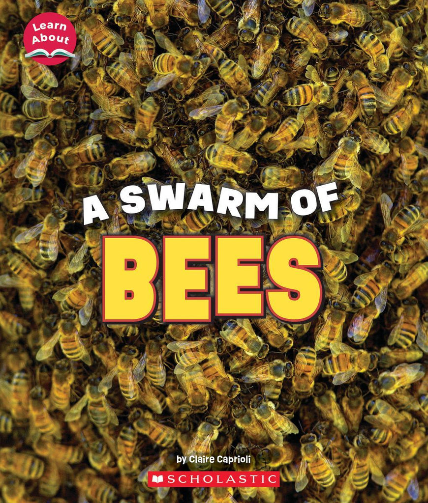 Learn About: A Swarm of Bees – The Children's Treehouse